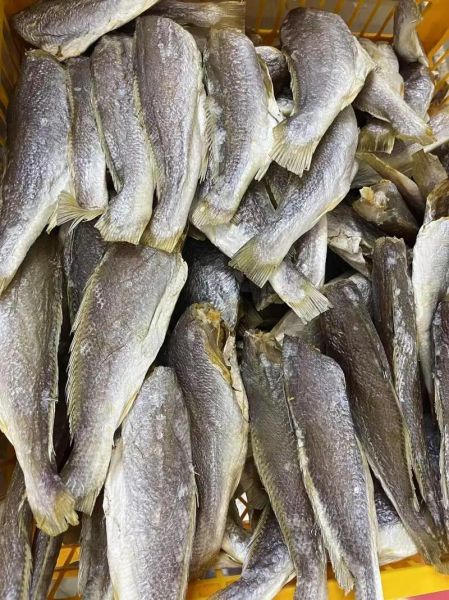 红杉鱼多少钱一斤_红杉鱼价格行情-第3张图片-山城妙识