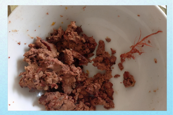 鸡肝钓鱼生的好还是熟好_野钓高手实测对比-第1张图片-山城妙识 鸡肝钓鱼生的好还是熟好_野钓高手实测对比-第1张图片-山城妙识