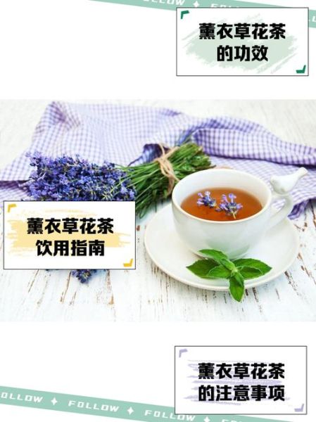 薰衣草茶的功效与作用_薰衣草茶适合什么人喝-第3张图片-山城妙识
