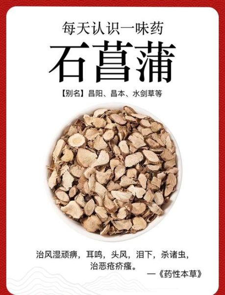 石菖蒲的功效与作用及禁忌_哪些人不能吃-第1张图片-山城妙识 石菖蒲的功效与作用及禁忌_哪些人不能吃-第1张图片-山城妙识