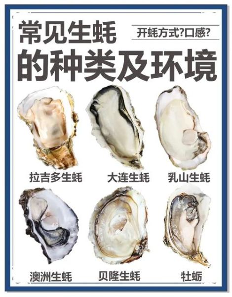 牡蛎和生蚝的外观区别图片_怎么区分-第2张图片-山城妙识 牡蛎和生蚝的外观区别图片_怎么区分-第2张图片-山城妙识