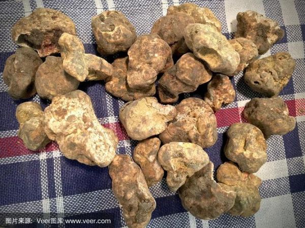 白松露产地在哪里_意大利白松露产区有哪些-第2张图片-山城妙识 白松露产地在哪里_意大利白松露产区有哪些-第2张图片-山城妙识