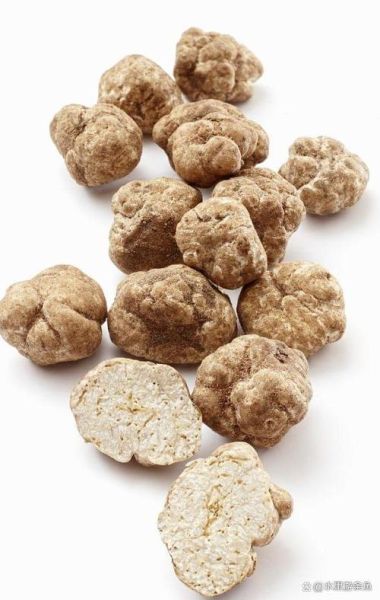 白松露产地在哪里_意大利白松露产区有哪些-第1张图片-山城妙识 白松露产地在哪里_意大利白松露产区有哪些-第1张图片-山城妙识
