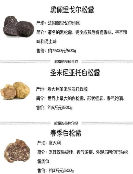 白松露产地在哪里_意大利白松露产区有哪些-第3张图片-山城妙识 白松露产地在哪里_意大利白松露产区有哪些-第3张图片-山城妙识