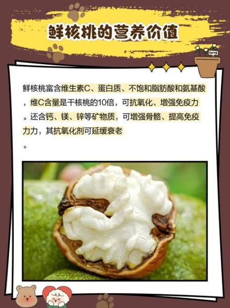 鲜核桃的功效与作用_鲜核桃怎么吃最营养-第1张图片-山城妙识 鲜核桃的功效与作用_鲜核桃怎么吃最营养-第1张图片-山城妙识