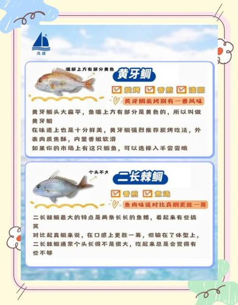 鲷鱼和巴沙鱼哪个好_口感营养价格全面对比-第3张图片-山城妙识 鲷鱼和巴沙鱼哪个好_口感营养价格全面对比-第3张图片-山城妙识