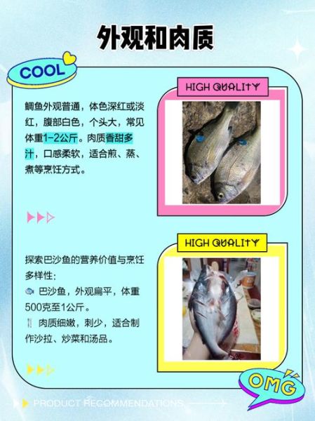 鲷鱼和巴沙鱼哪个好_口感营养价格全面对比-第1张图片-山城妙识 鲷鱼和巴沙鱼哪个好_口感营养价格全面对比-第1张图片-山城妙识