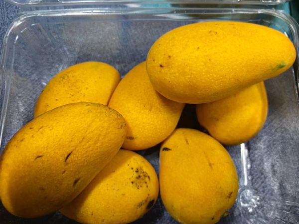 芒果过敏吃什么药_芒果过敏紧急处理-第2张图片-山城妙识