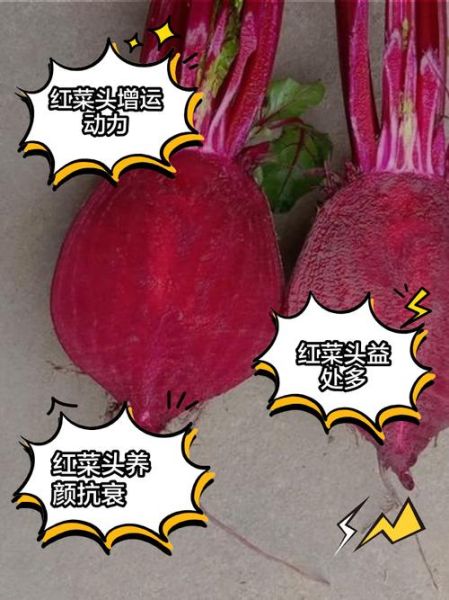 红菜头怎么做好吃_红菜头做法大全-第1张图片-山城妙识 红菜头怎么做好吃_红菜头做法大全-第1张图片-山城妙识