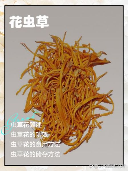 虫草花的功效与作用是什么_虫草花怎么吃效果最好-第1张图片-山城妙识