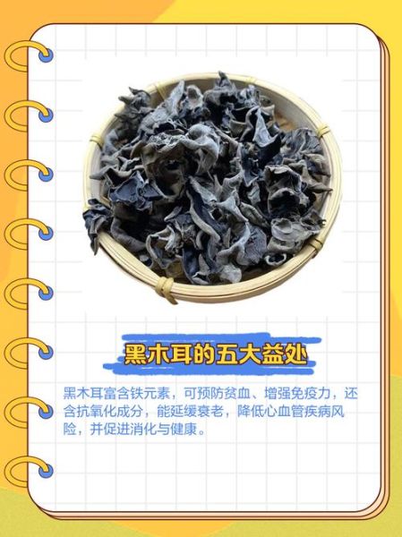 黑木耳是什么意思_黑木耳的多种含义解析-第3张图片-山城妙识 黑木耳是什么意思_黑木耳的多种含义解析-第3张图片-山城妙识
