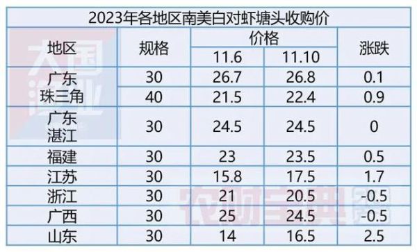 对虾多少钱一斤_今日最新批发价-第1张图片-山城妙识 对虾多少钱一斤_今日最新批发价-第1张图片-山城妙识
