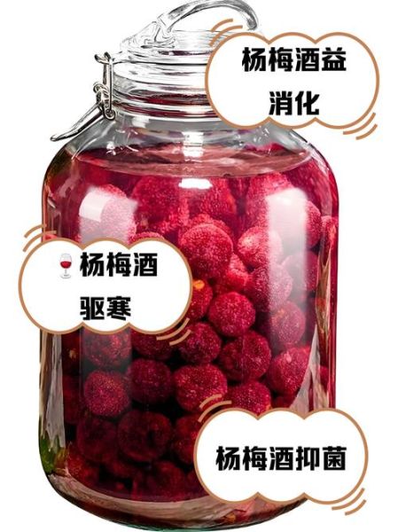 怎么泡杨梅酒好喝_杨梅酒用什么酒泡最好-第2张图片-山城妙识 怎么泡杨梅酒好喝_杨梅酒用什么酒泡最好-第2张图片-山城妙识