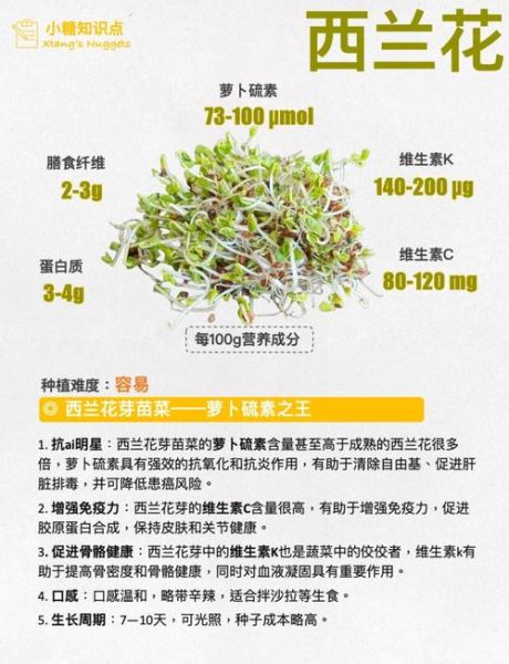 芽苗菜为什么不好卖_芽苗菜卖不出去的原因-第1张图片-山城妙识 芽苗菜为什么不好卖_芽苗菜卖不出去的原因-第1张图片-山城妙识