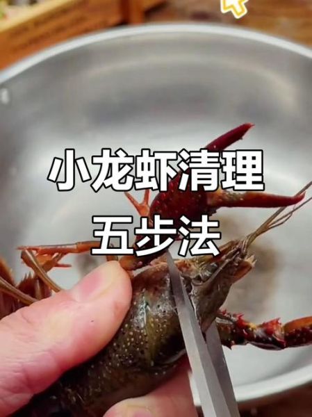 龙虾怎么清洗_活龙虾处理步骤-第2张图片-山城妙识 龙虾怎么清洗_活龙虾处理步骤-第2张图片-山城妙识