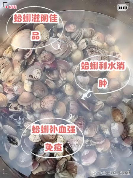花蛤的营养价值及功效与作用_花蛤怎么吃最营养-第2张图片-山城妙识 花蛤的营养价值及功效与作用_花蛤怎么吃最营养-第2张图片-山城妙识