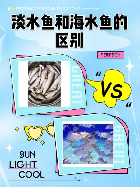 常见鱼类图片大全_如何快速识别淡水鱼与海水鱼-第3张图片-山城妙识 常见鱼类图片大全_如何快速识别淡水鱼与海水鱼-第3张图片-山城妙识