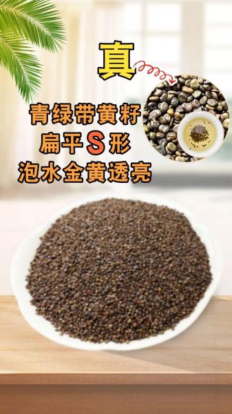 沙苑子长什么样_沙苑子真假辨别方法-第1张图片-山城妙识 沙苑子长什么样_沙苑子真假辨别方法-第1张图片-山城妙识