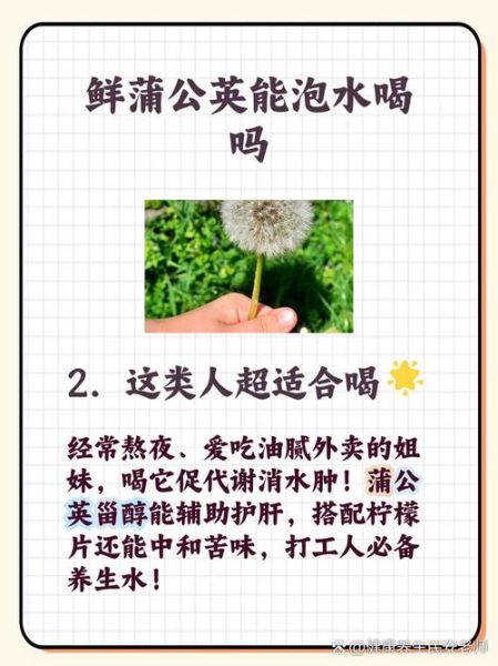 蒲公英能提高性功能吗_男人喝多久见效-第3张图片-山城妙识 蒲公英能提高性功能吗_男人喝多久见效-第3张图片-山城妙识