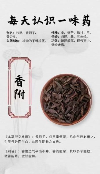 香付的功效与作用_香付主治哪些疾病-第1张图片-山城妙识 香付的功效与作用_香付主治哪些疾病-第1张图片-山城妙识