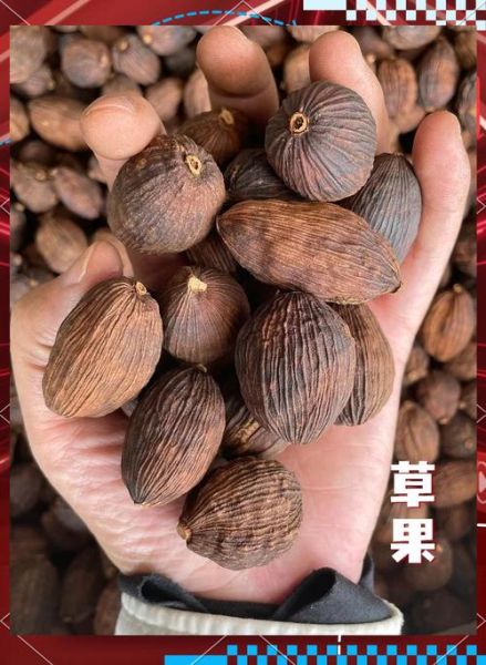 草果和肉蔻的区别_哪个更适合炖肉-第3张图片-山城妙识 草果和肉蔻的区别_哪个更适合炖肉-第3张图片-山城妙识