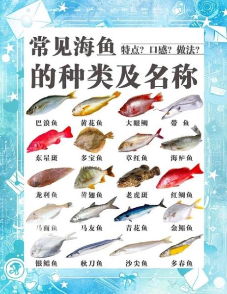 常见海鱼种类及营养价值_如何挑选新鲜海鱼-第3张图片-山城妙识 常见海鱼种类及营养价值_如何挑选新鲜海鱼-第3张图片-山城妙识