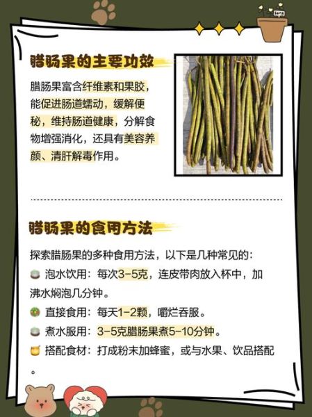 腊肠果的功效与副作用_腊肠果能减肥吗-第3张图片-山城妙识 腊肠果的功效与副作用_腊肠果能减肥吗-第3张图片-山城妙识