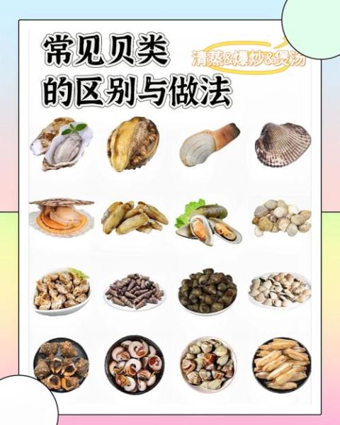 贝类有哪些营养价值_贝类有什么功效与作用-第2张图片-山城妙识 贝类有哪些营养价值_贝类有什么功效与作用-第2张图片-山城妙识