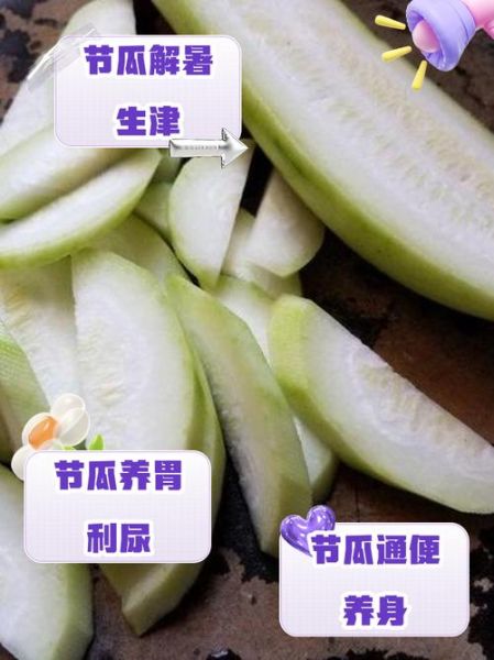 节瓜的功效与作用有哪些_节瓜怎么吃最营养-第1张图片-山城妙识 节瓜的功效与作用有哪些_节瓜怎么吃最营养-第1张图片-山城妙识