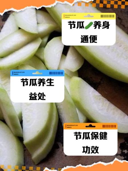 节瓜的功效与作用有哪些_节瓜怎么吃最营养-第2张图片-山城妙识 节瓜的功效与作用有哪些_节瓜怎么吃最营养-第2张图片-山城妙识