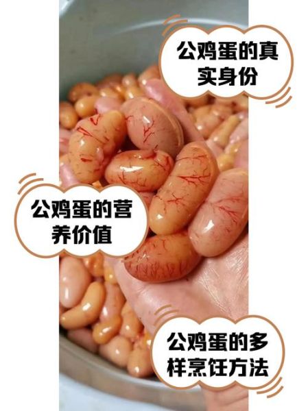 公鸡蛋是什么_公鸡蛋能吃吗-第1张图片-山城妙识 公鸡蛋是什么_公鸡蛋能吃吗-第1张图片-山城妙识