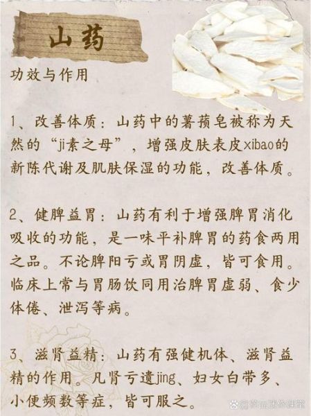 山药可以天天吃吗_天天吃山药的副作用-第1张图片-山城妙识