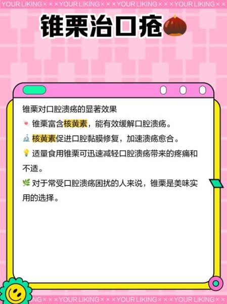 锥栗子怎么做好吃_锥栗子家常做法大全-第1张图片-山城妙识 锥栗子怎么做好吃_锥栗子家常做法大全-第1张图片-山城妙识