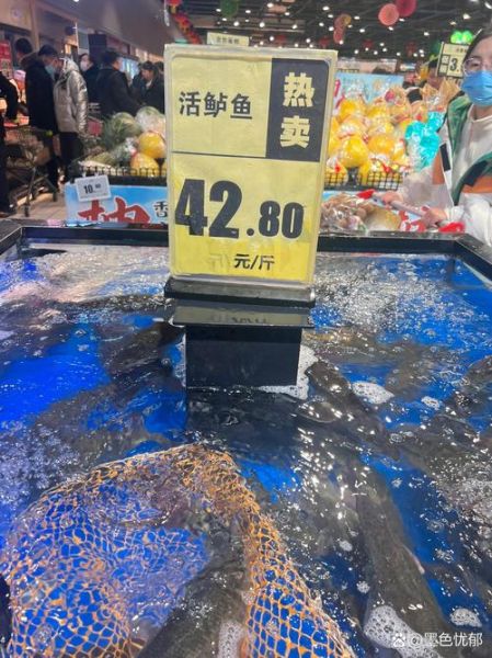 鲈鱼多少钱一斤2020_2020年鲈鱼价格走势-第2张图片-山城妙识