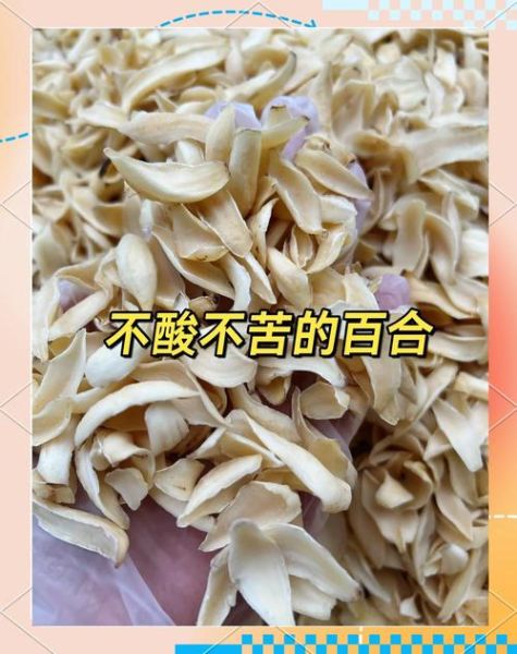 新鲜百合怎么去苦味_百合发苦还能吃吗-第3张图片-山城妙识 新鲜百合怎么去苦味_百合发苦还能吃吗-第3张图片-山城妙识