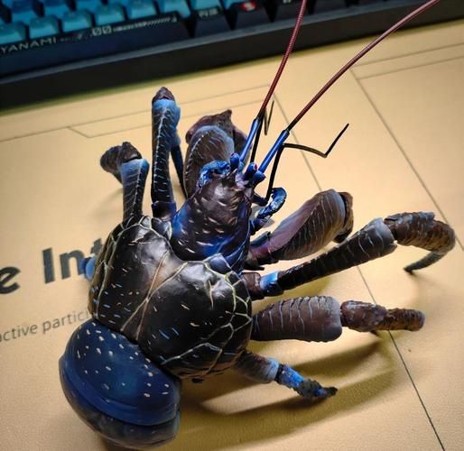 椰子蟹多少钱一只_椰子蟹价格为什么这么贵-第2张图片-山城妙识 椰子蟹多少钱一只_椰子蟹价格为什么这么贵-第2张图片-山城妙识