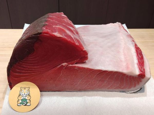 小金枪鱼图片_如何挑选最新鲜的小金枪鱼-第2张图片-山城妙识