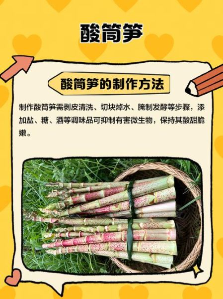 酸笋的危害有哪些_吃酸笋会致癌吗-第1张图片-山城妙识 酸笋的危害有哪些_吃酸笋会致癌吗-第1张图片-山城妙识