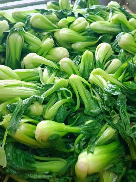 香菇青菜包子馅怎么做_香菇青菜包子馅不黄窍门-第3张图片-山城妙识