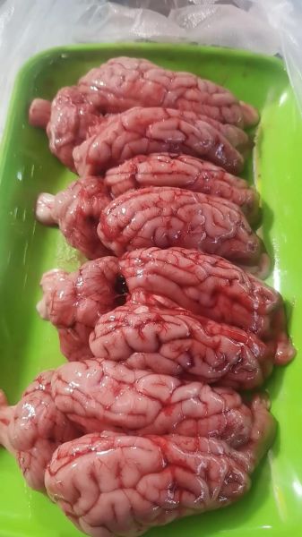 蒜蓉烤脑花怎么做_蒜蓉烤脑花需要焯水吗-第3张图片-山城妙识 蒜蓉烤脑花怎么做_蒜蓉烤脑花需要焯水吗-第3张图片-山城妙识