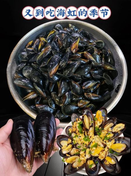 贻贝怎么读_贻贝的读音和营养价值-第1张图片-山城妙识 贻贝怎么读_贻贝的读音和营养价值-第1张图片-山城妙识