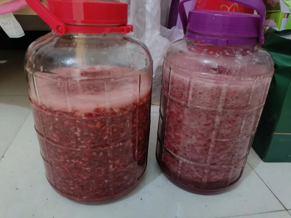 纯酿草莓酒怎么做_草莓酒发酵失败原因-第1张图片-山城妙识 纯酿草莓酒怎么做_草莓酒发酵失败原因-第1张图片-山城妙识