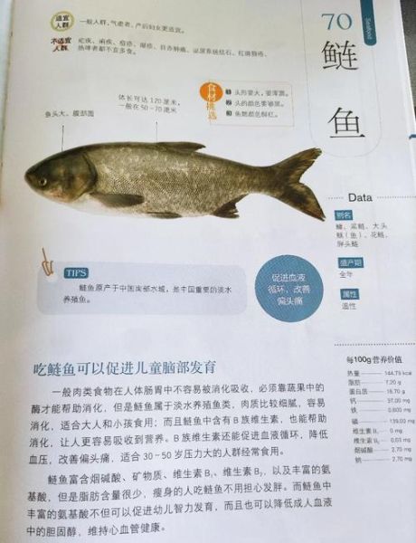 白鲢鱼的营养价值_白鲢鱼的功效与作用-第3张图片-山城妙识