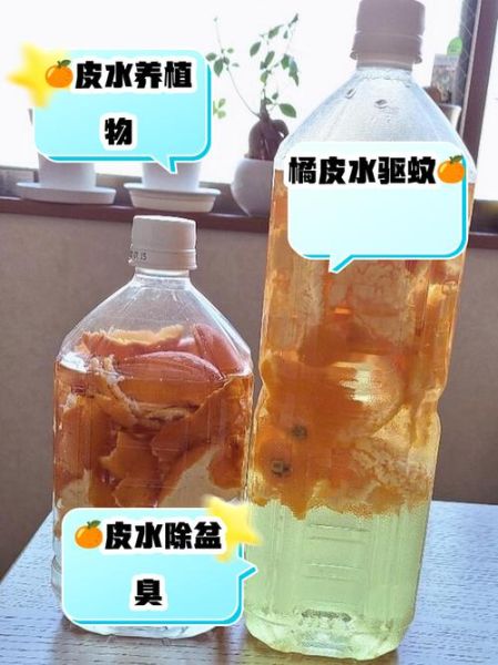 橘子皮泡水浇花有什么好处_橘子皮泡水浇花有什么坏处-第2张图片-山城妙识