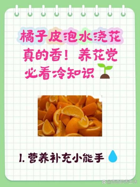 橘子皮泡水浇花有什么好处_橘子皮泡水浇花有什么坏处-第3张图片-山城妙识