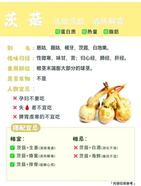 慈菇的功效与作用禁忌_什么人不能吃慈菇-第1张图片-山城妙识 慈菇的功效与作用禁忌_什么人不能吃慈菇-第1张图片-山城妙识