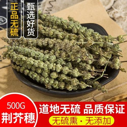 荆芥穗图片长什么样_荆芥穗与荆芥区别-第1张图片-山城妙识 荆芥穗图片长什么样_荆芥穗与荆芥区别-第1张图片-山城妙识