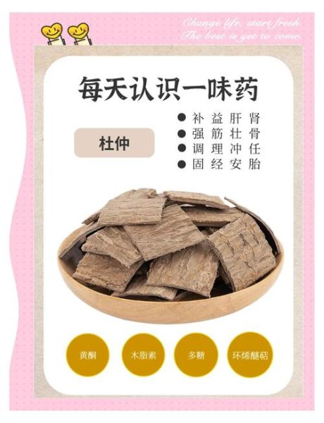 盐杜仲的功效与作用_盐杜仲的禁忌有哪些-第3张图片-山城妙识 盐杜仲的功效与作用_盐杜仲的禁忌有哪些-第3张图片-山城妙识