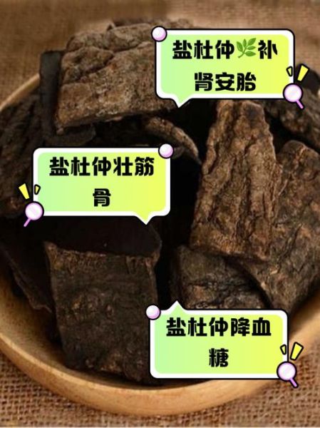 盐杜仲的功效与作用_盐杜仲的禁忌有哪些-第1张图片-山城妙识 盐杜仲的功效与作用_盐杜仲的禁忌有哪些-第1张图片-山城妙识