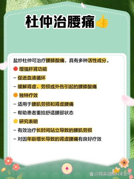 盐杜仲的功效与作用_盐杜仲的禁忌有哪些-第2张图片-山城妙识 盐杜仲的功效与作用_盐杜仲的禁忌有哪些-第2张图片-山城妙识